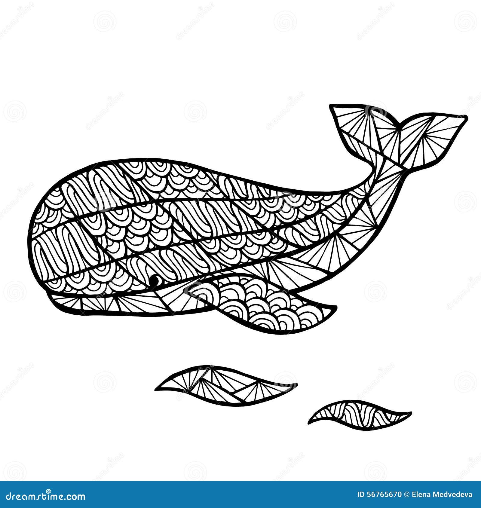 Balena Stilizzata Di Vettore, Zentangle Illustrazione Vettoriale ...