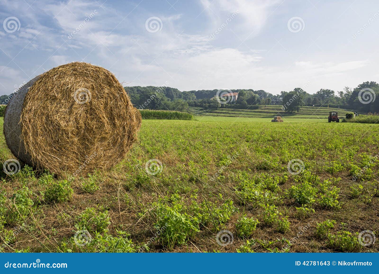 Bales stock image. Image of land, nature, landscape, summer - 42781643