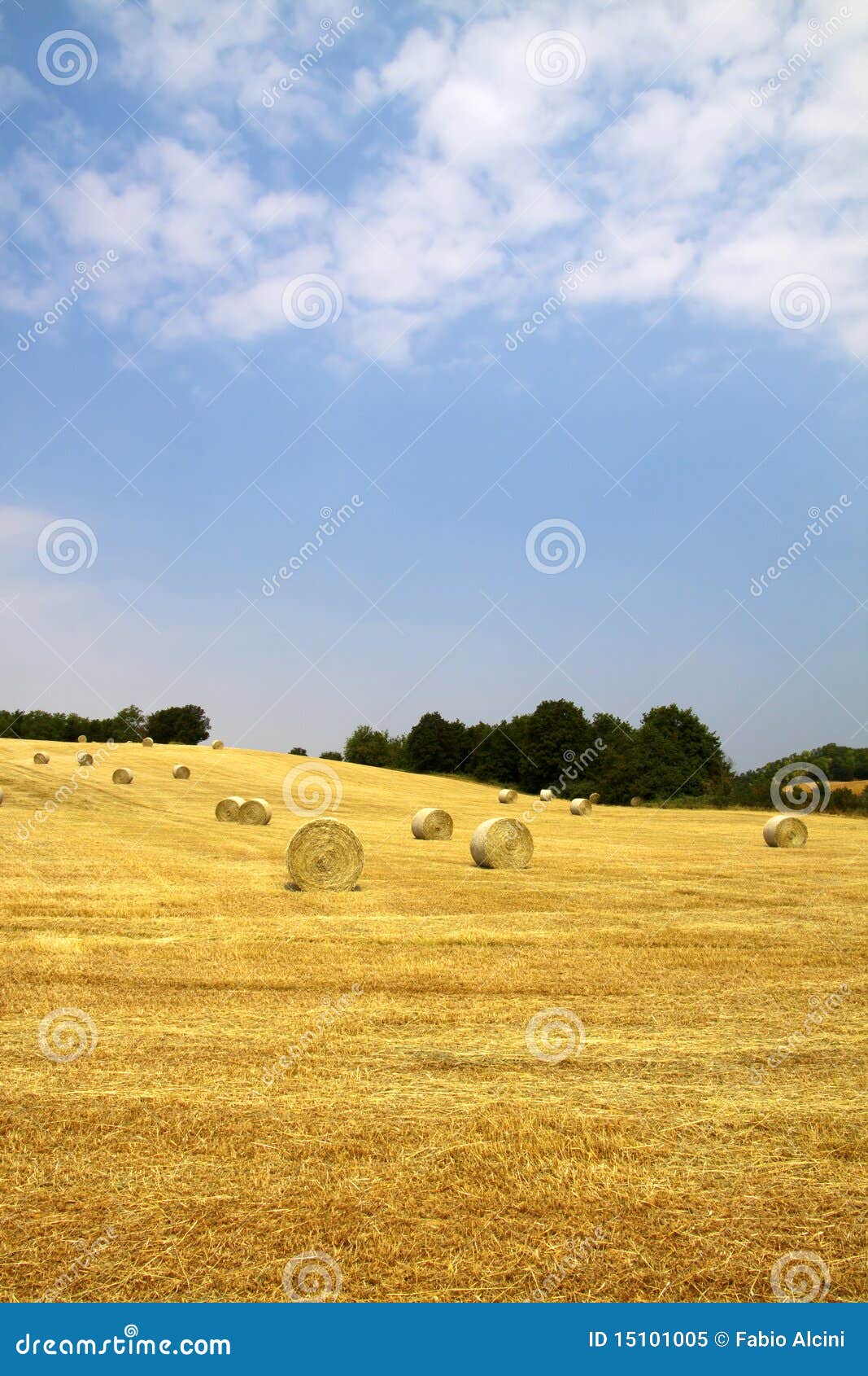 Bales on the field stock image. Image of ecoregion, daytime - 15101005