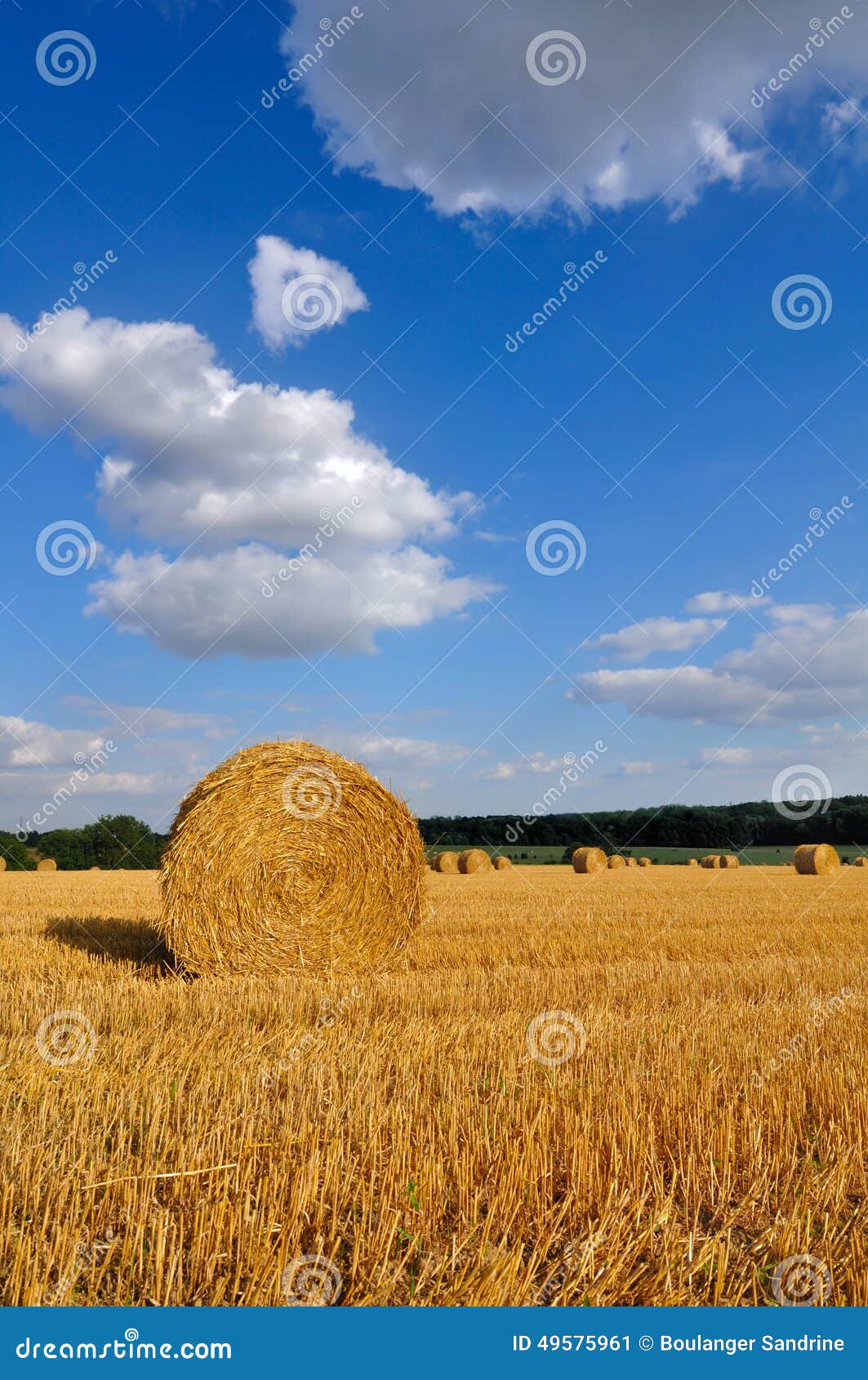 Bales in field stock image. Image of countryside, bales - 49575961