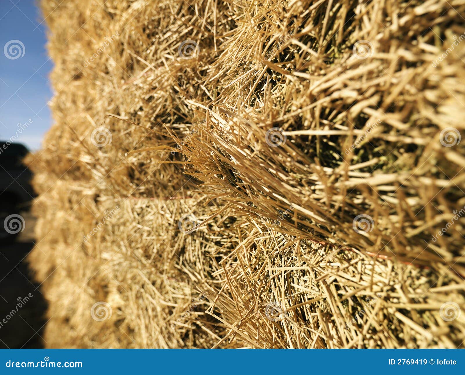 Bales of hay. stock image. Image of haystack, colour, color - 2769419