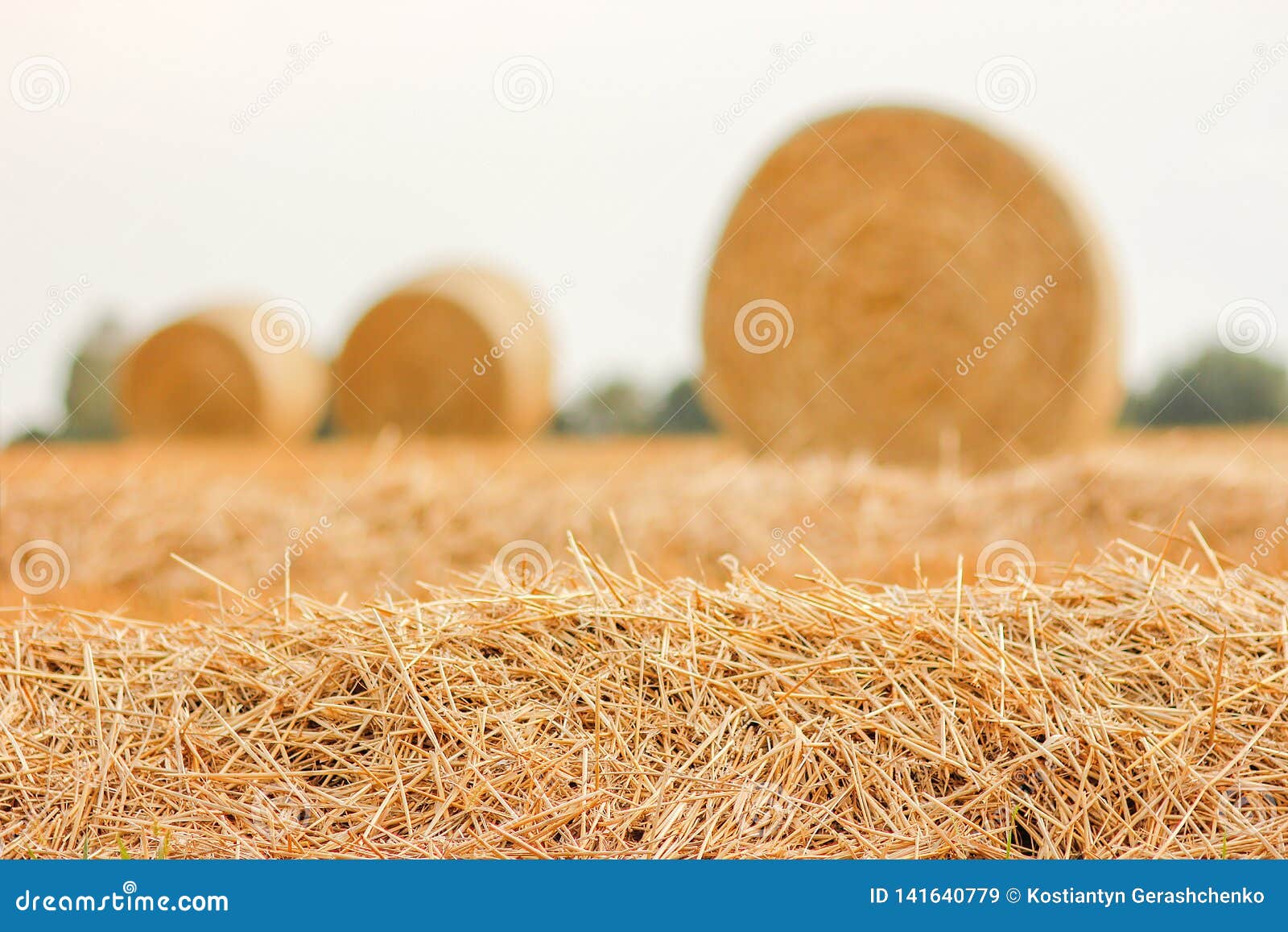 Bales of Hay on the Autumn Background Stock Image - Image of circle ...