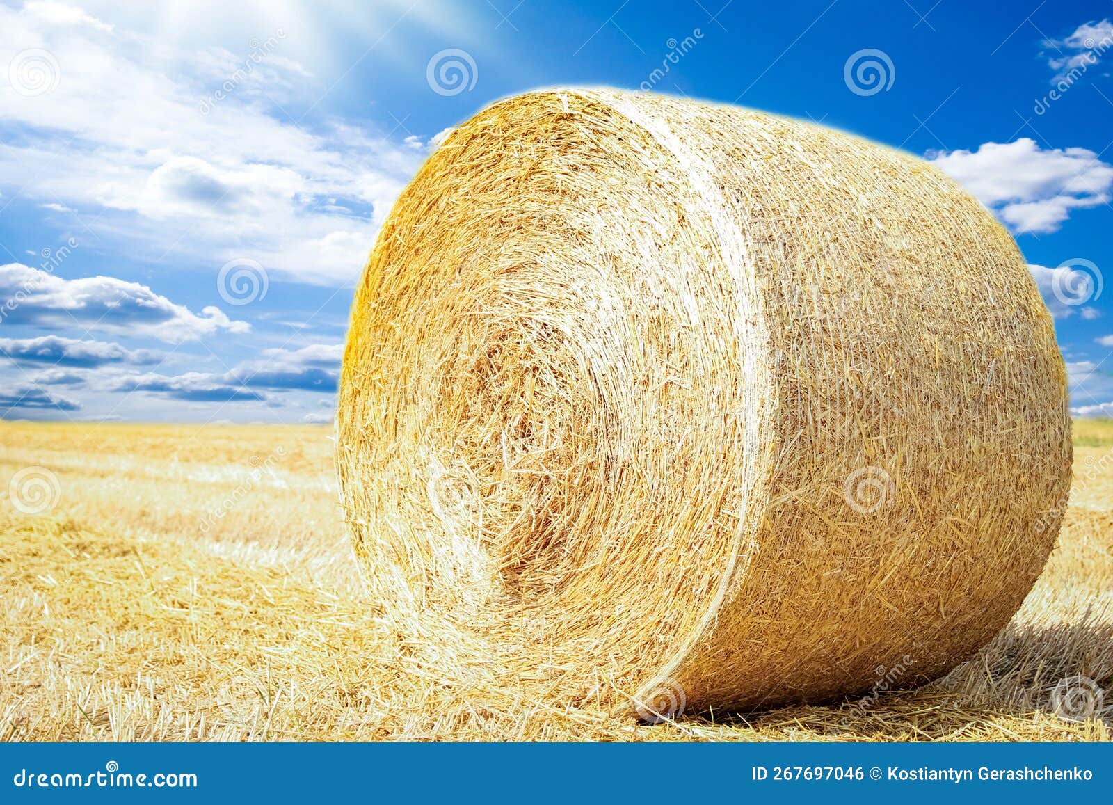 Bales of Hay on the Autumn Background Stock Photo - Image of harvest ...