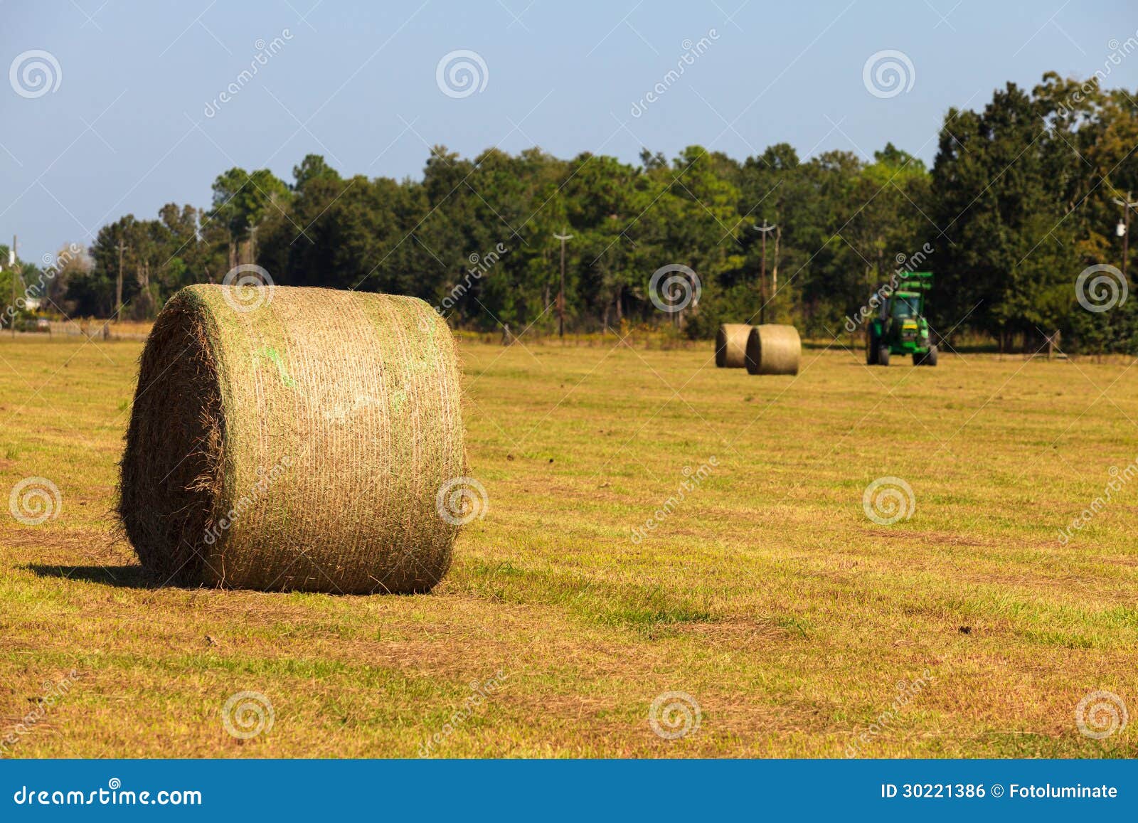 Farm life stock photo. Image of animal, fodder, feed - 30221386