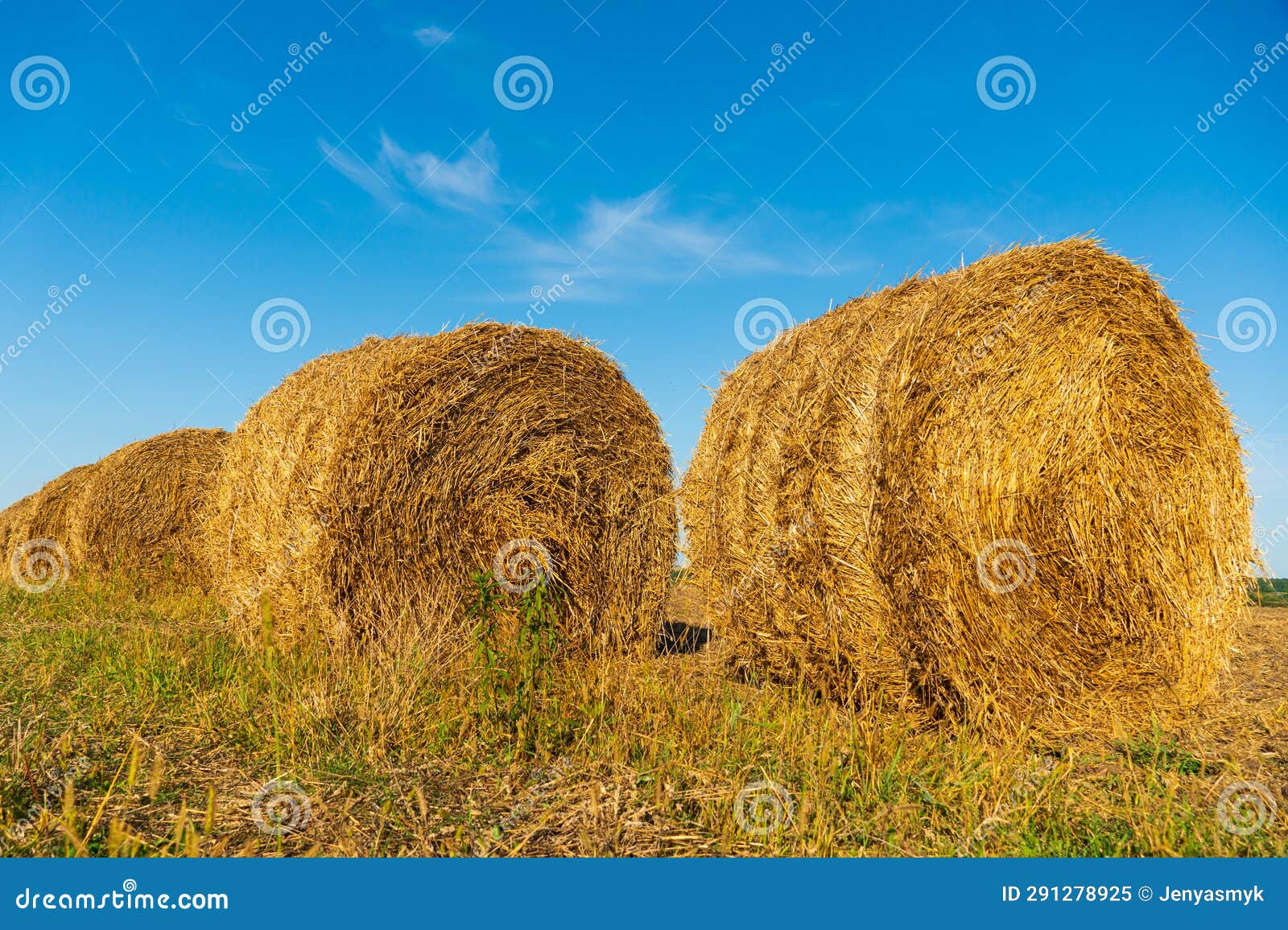 Bales of Hay in the Field. a Beautiful Image of Hay Stock Image - Image ...