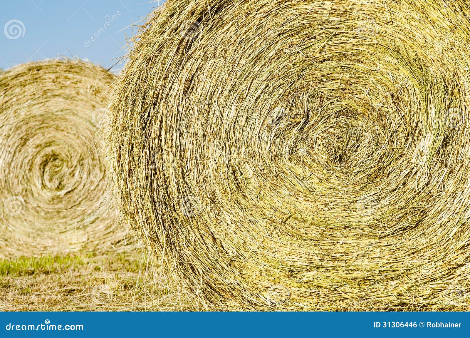 Bales of hay in field stock photo. Image of agriculture - 31306446