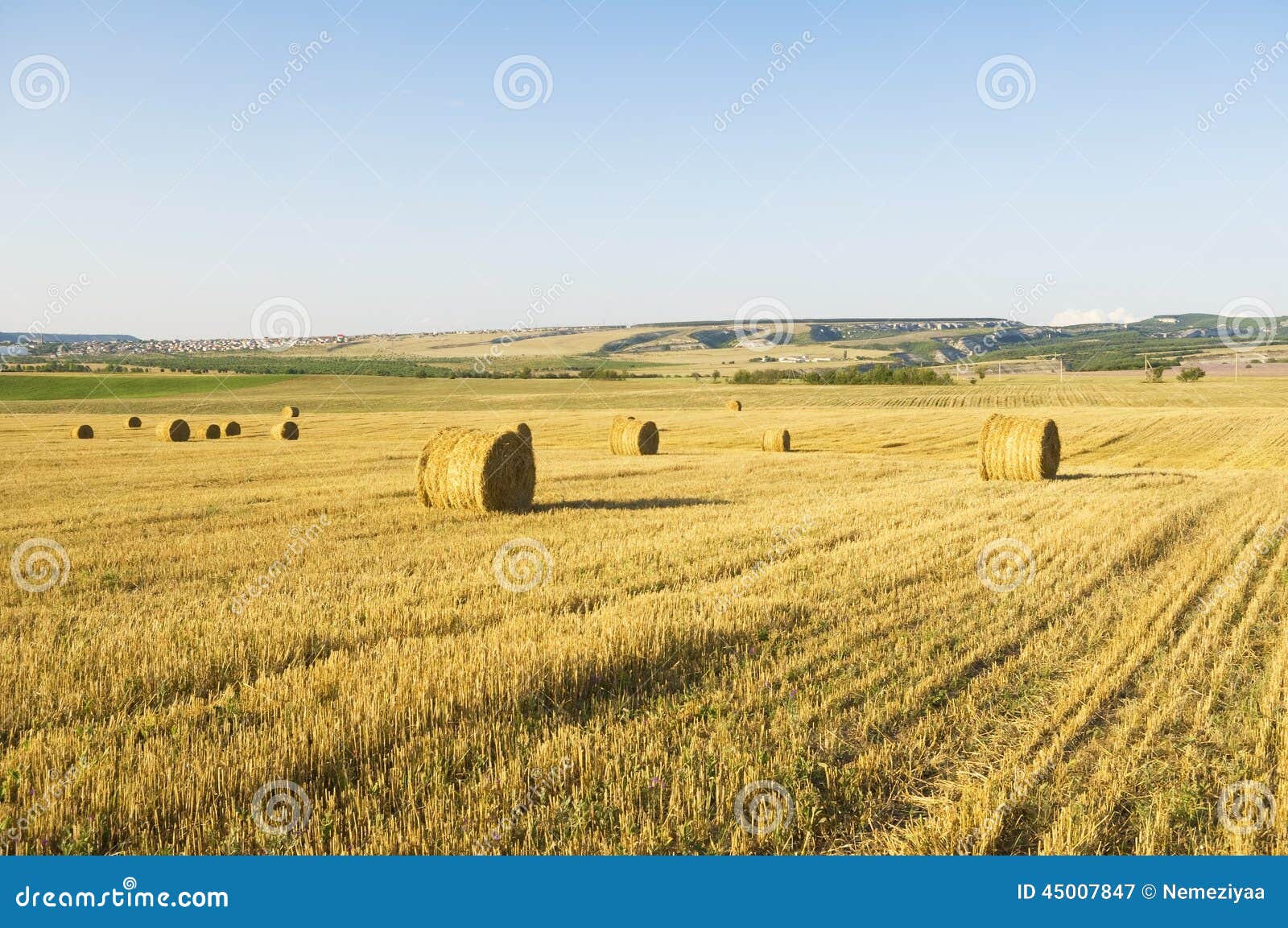 Bales of Hay in a Large Field. Stock Image - Image of farming, farm ...