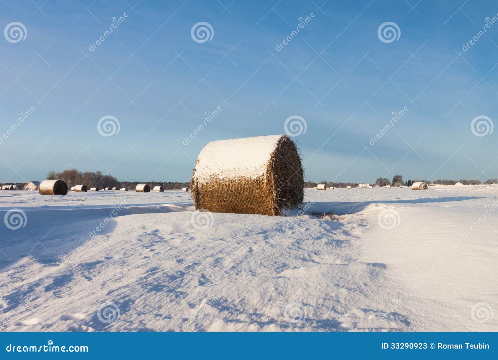 Bales of Hay Laying in Snow on Field Stock Image - Image of estonia ...
