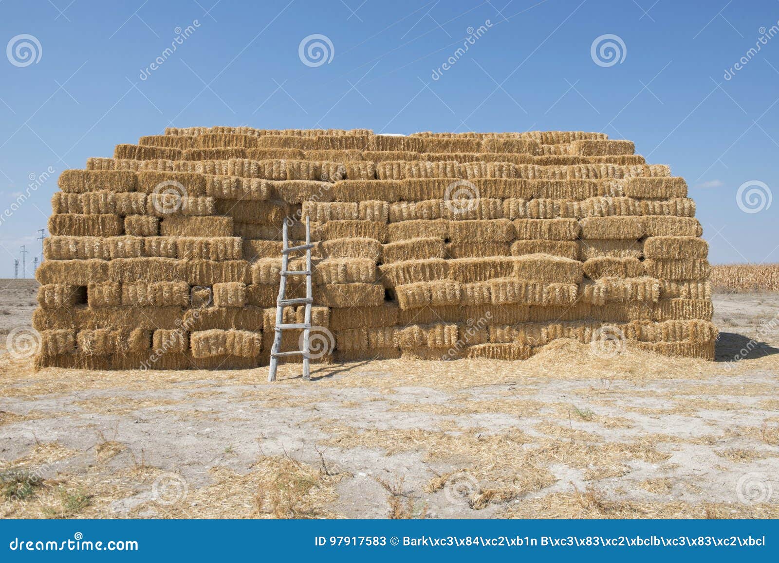Bales of Hay Leaning Over the Ladder Stock Image - Image of feed, ruins ...