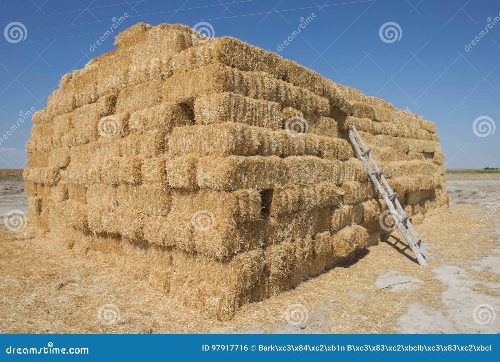 Bales of Hay Leaning Over the Ladder Stock Photo - Image of arrange ...