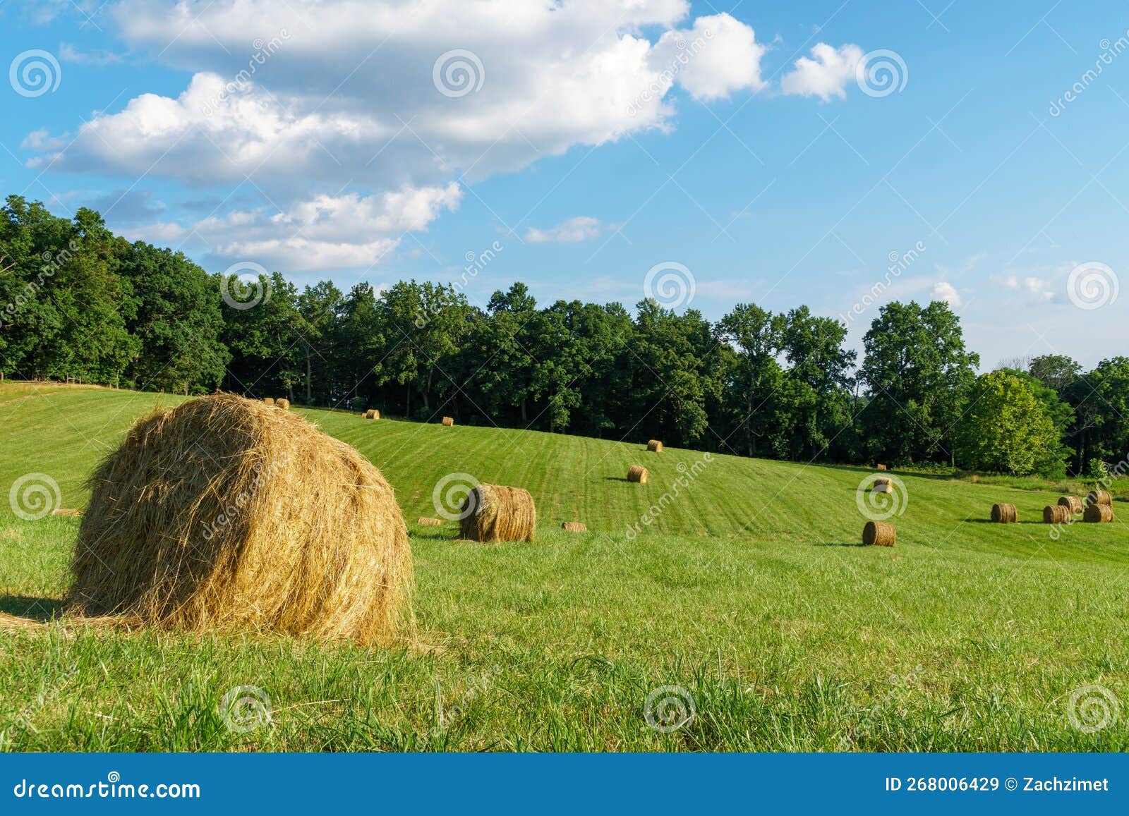 Bales of Hay in a Rolling Field with the Treeline and Cloudscape in the ...