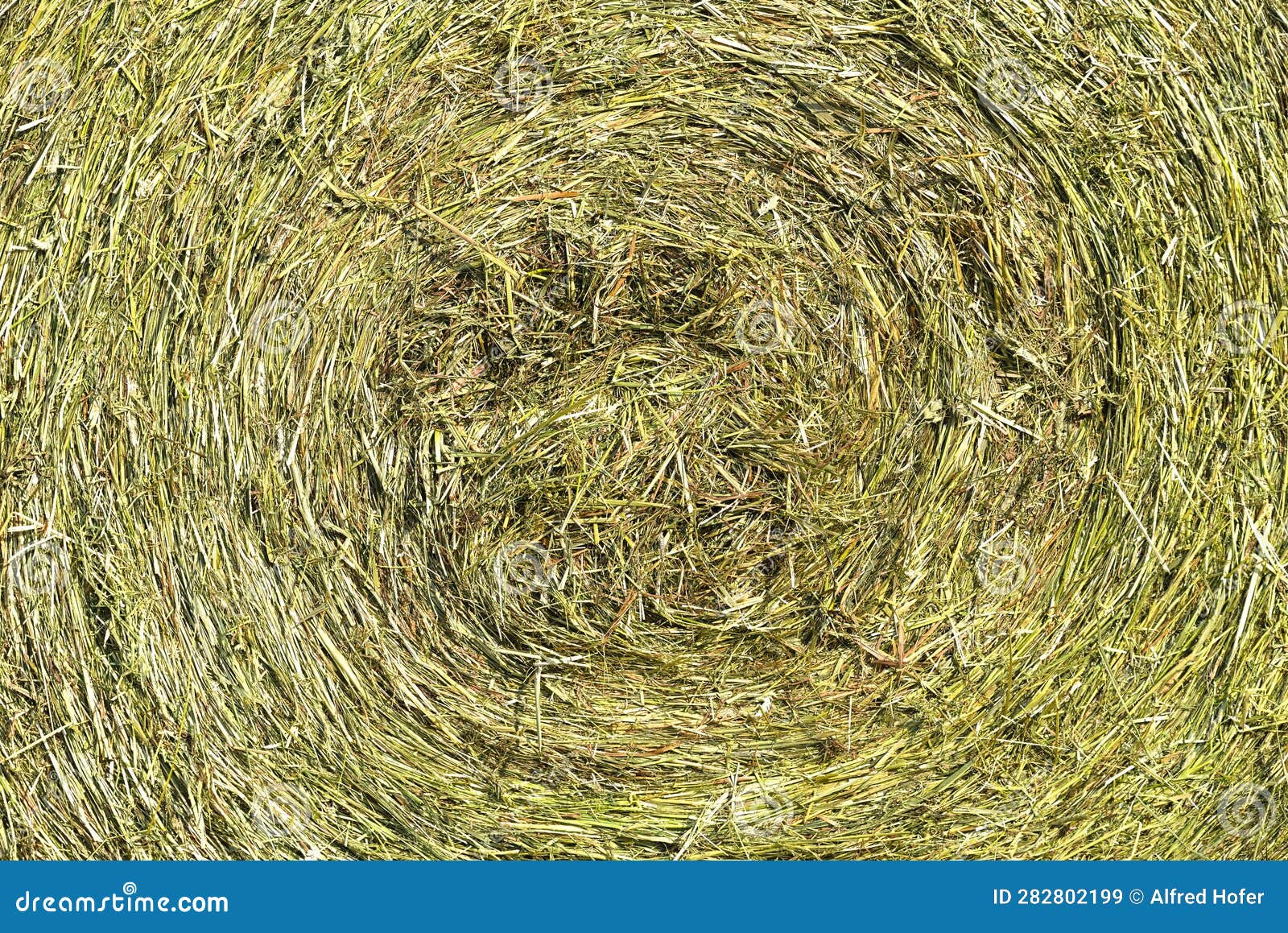 Bales of Hay - Rounded Pattern As Background Stock Image - Image of ...