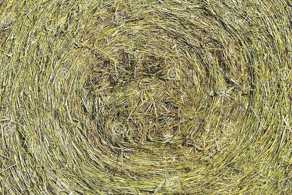 Bales of Hay - Rounded Pattern As Background Stock Image - Image of ...