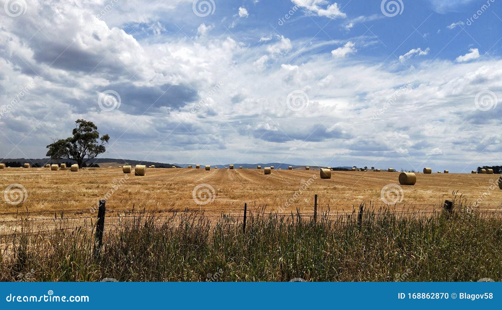 Bales of Hay Scattered Across a Paddock Under Blue Sky with White ...
