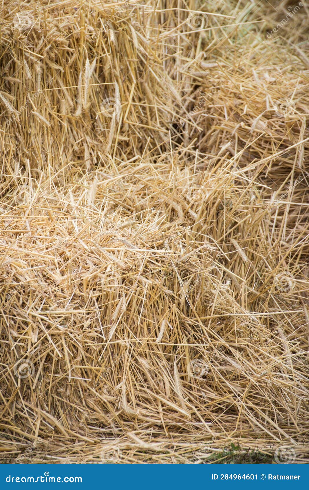 Bales of Hay or Straw. Background or Wallpaper Texture Stock Image ...
