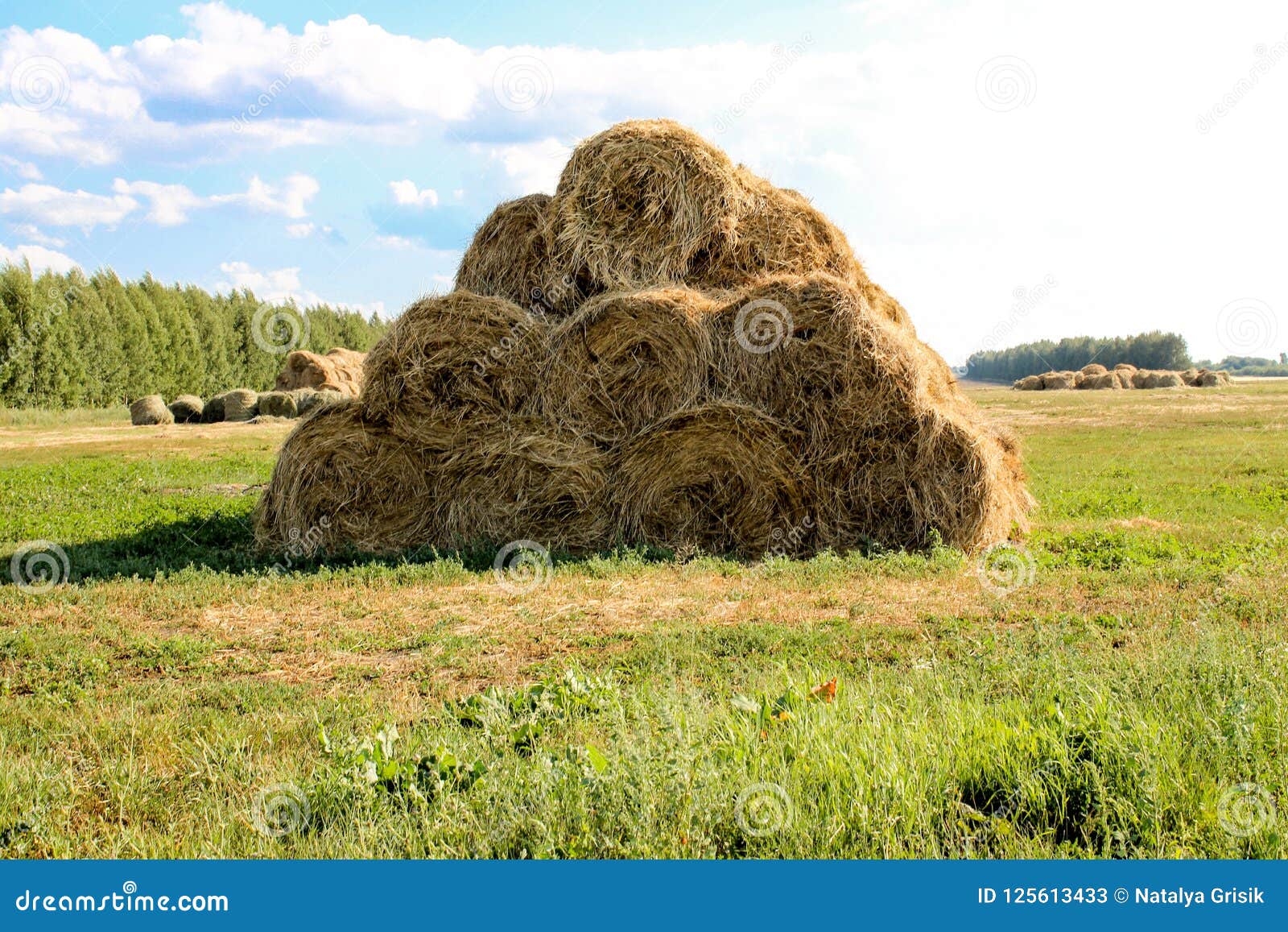 Bales of meadow hay stock image. Image of village, bales - 125613433