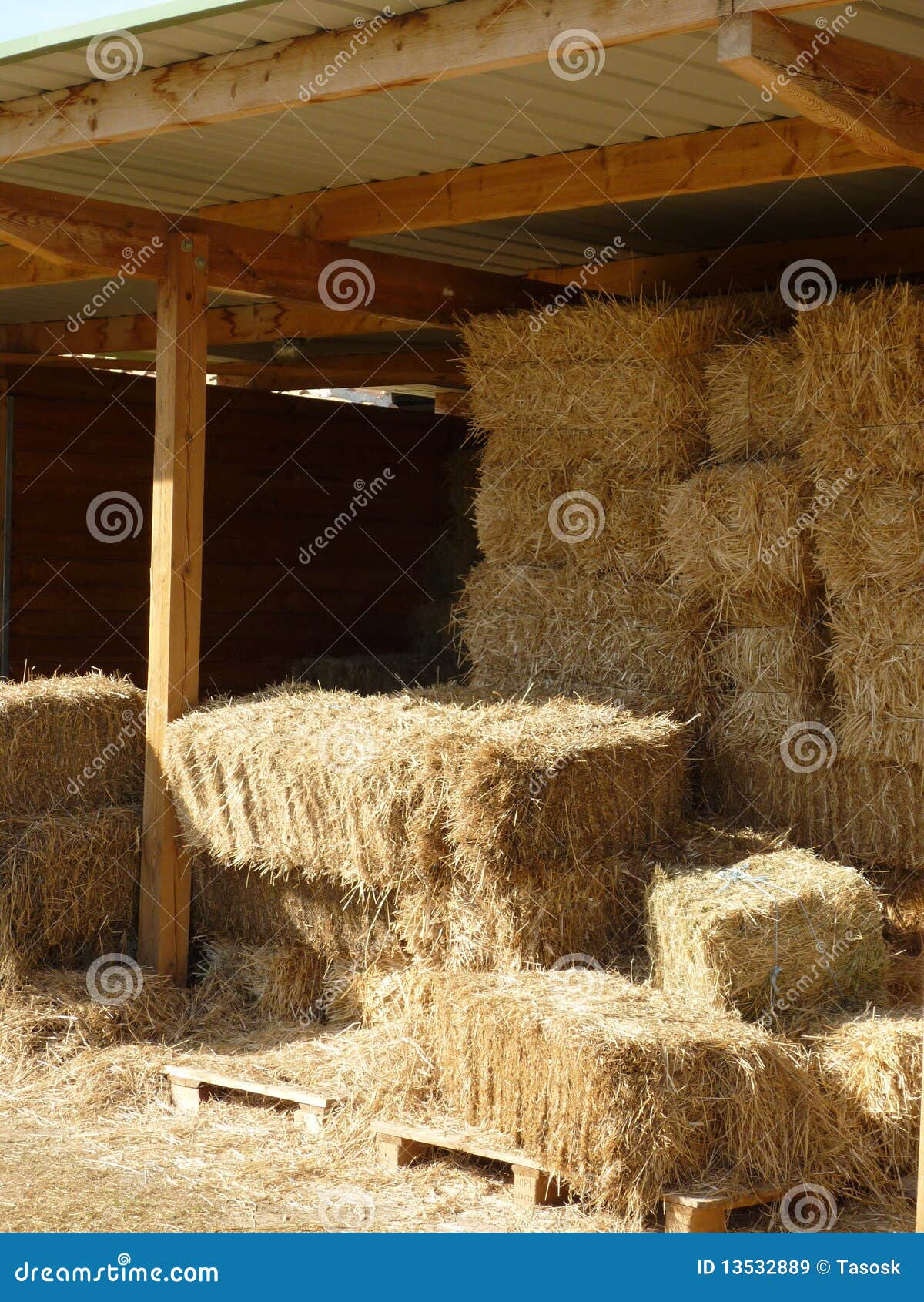 Bales of straw stock image. Image of wheat, stack, warehouse - 13532889