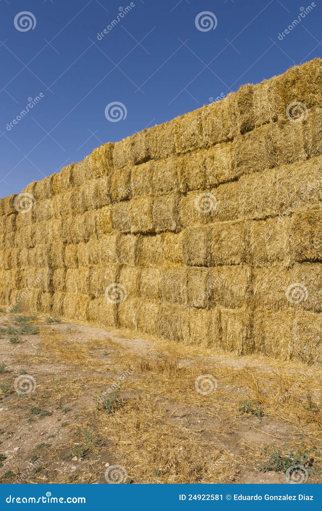 Bales of straw stock image. Image of field, bale, agriculture - 24922581