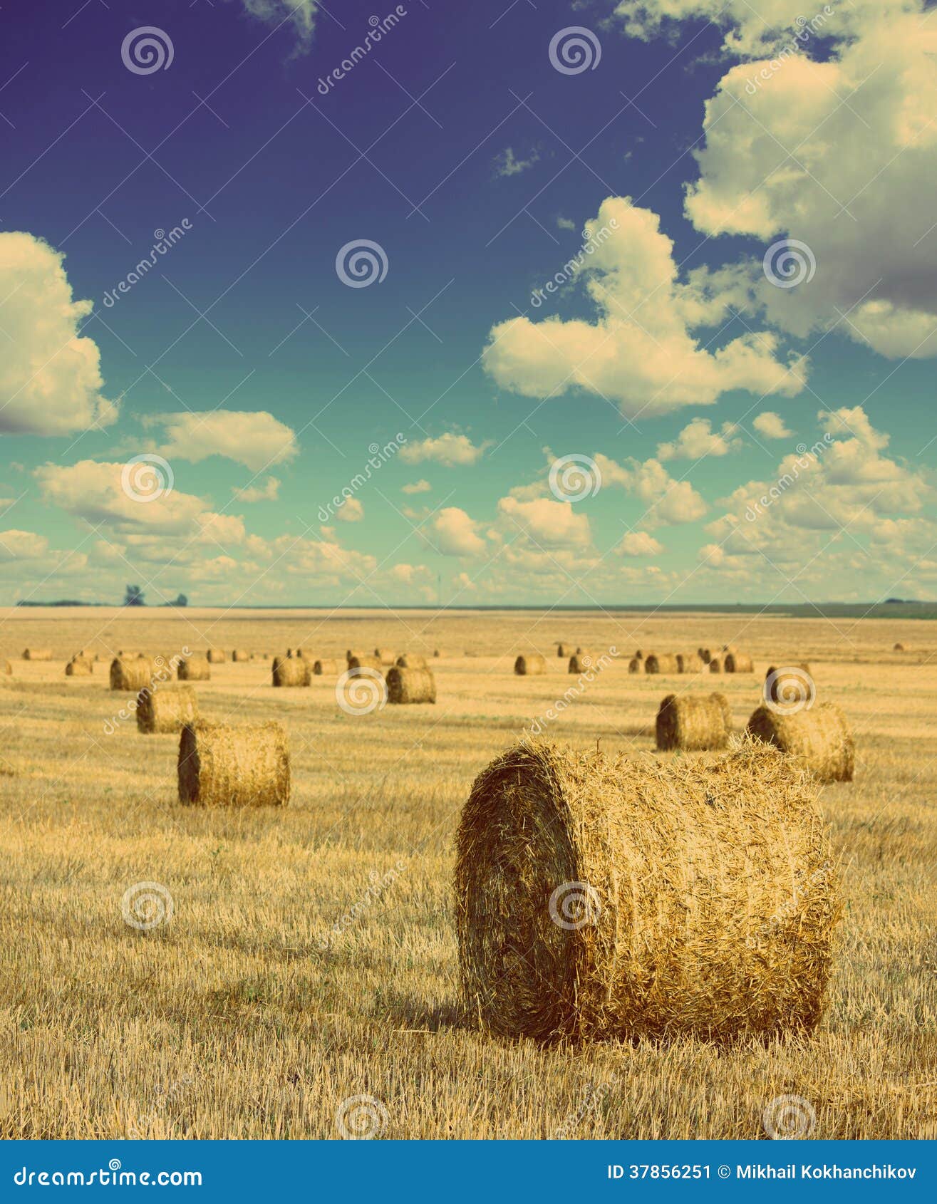 Bales of Straw in Field - Vintage Retro Style Stock Image - Image of ...
