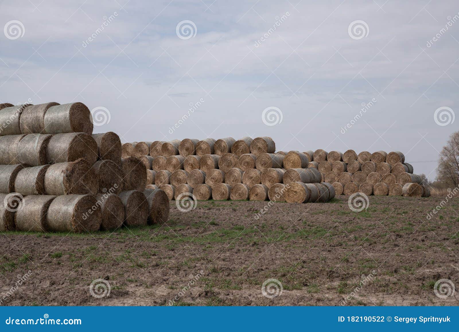 Bales of Straw Stacked into Pyramids Stock Photo - Image of nature ...