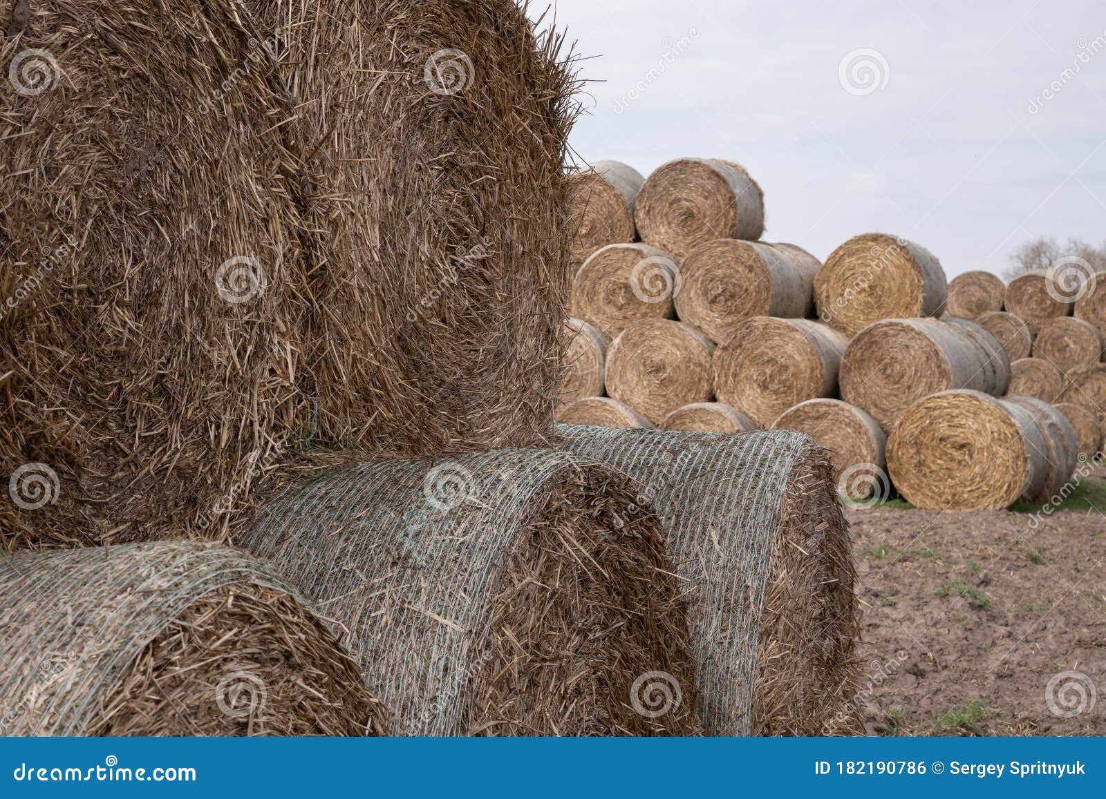 Bales of Straw Stacked into Pyramids Stock Photo - Image of straw ...