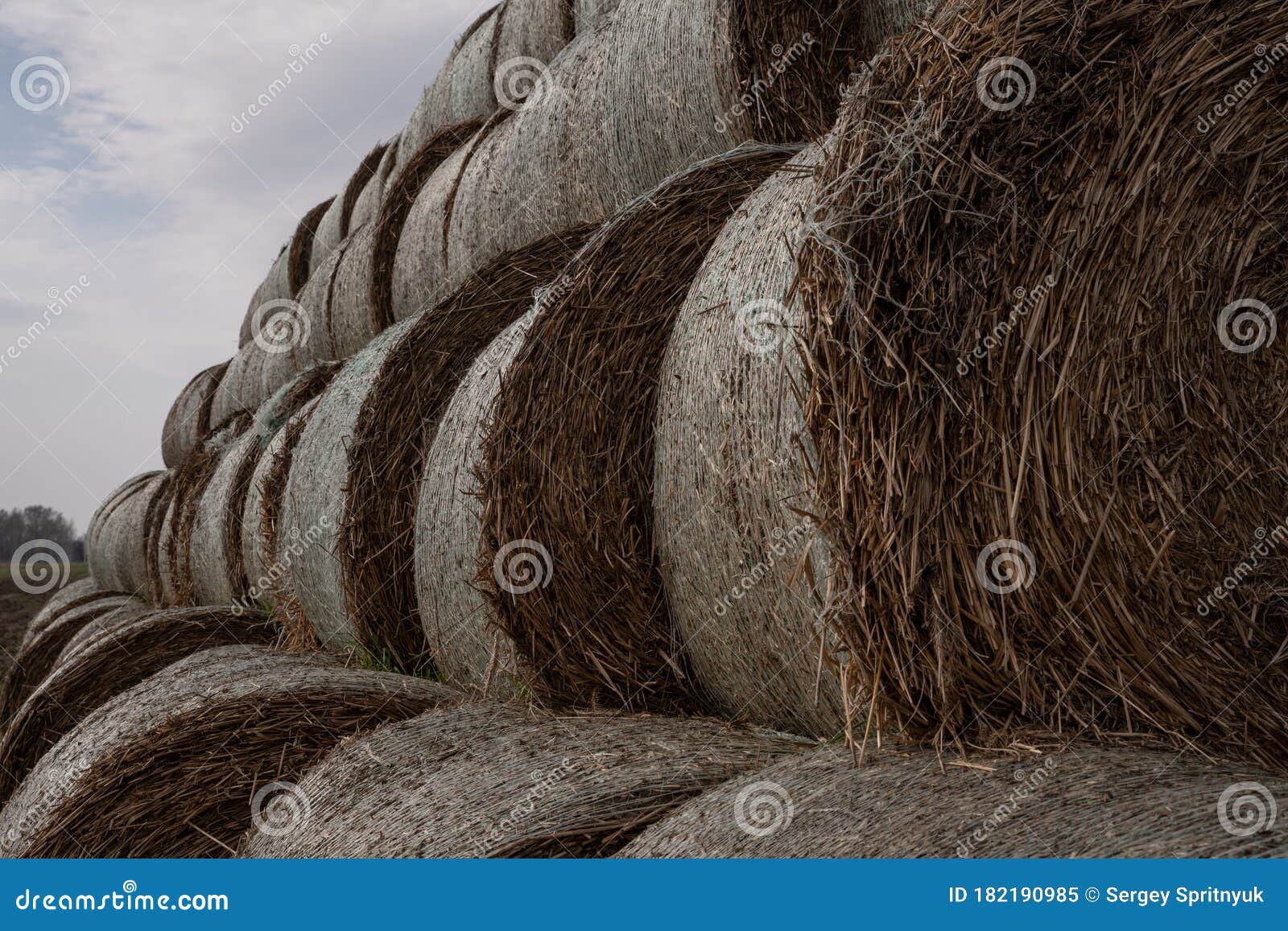 Bales of Straw Stacked into Pyramids Stock Image - Image of design ...