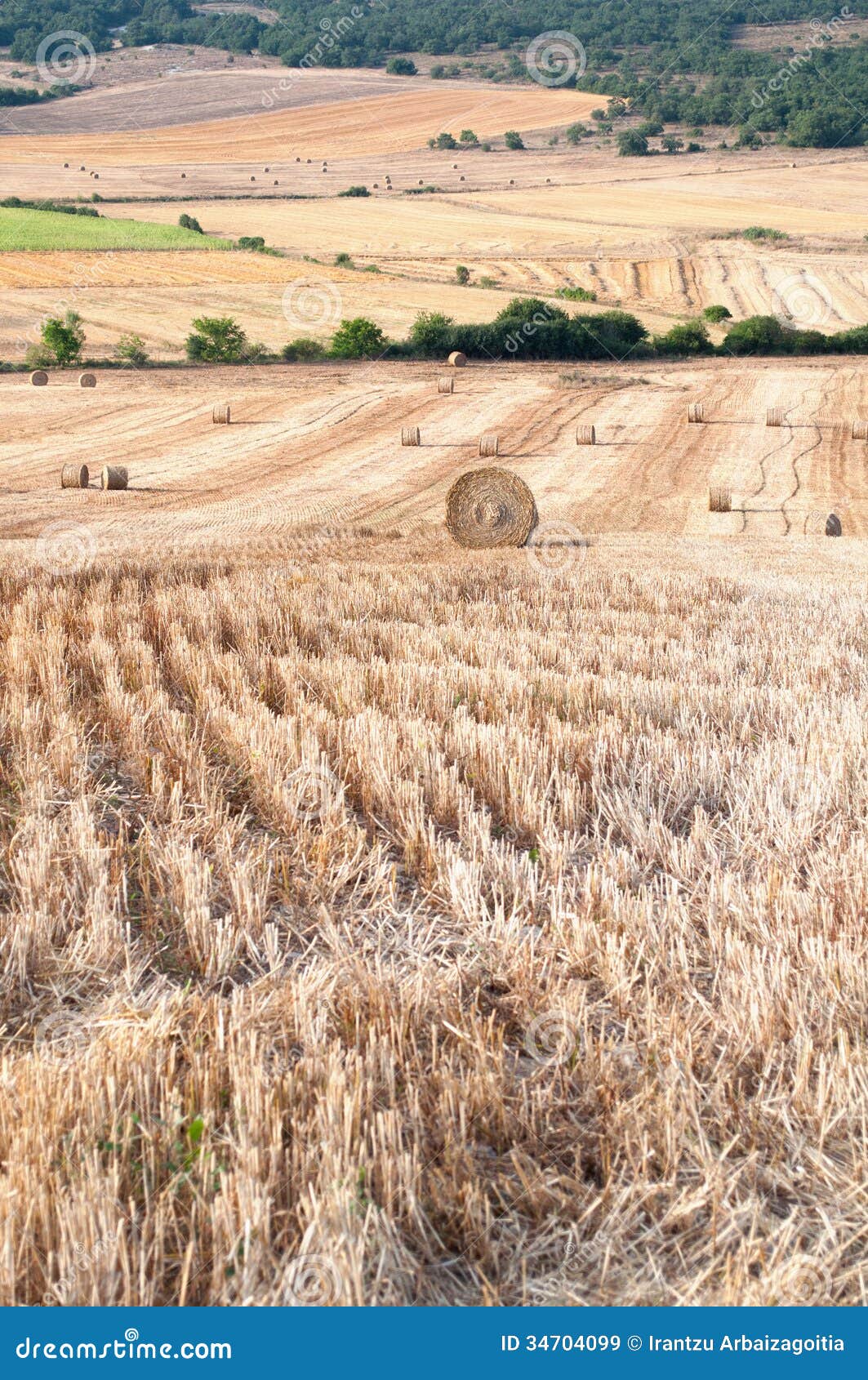 Bales of Straw in the Wheat Fields Stock Image - Image of harvest, crop ...