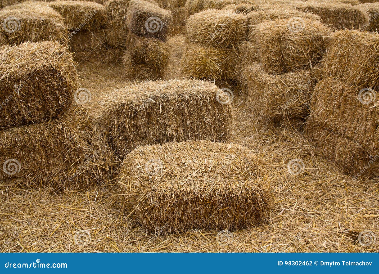 Bales of Yellow Hay are Lying in the Courtyard Stock Photo - Image of ...