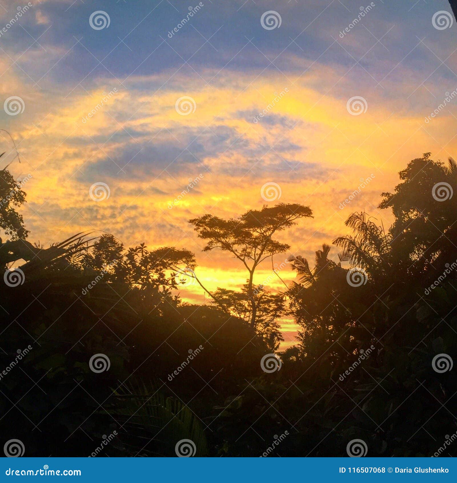 Bali stock photo. Image of sunset, amazing, ubud, color - 116507068