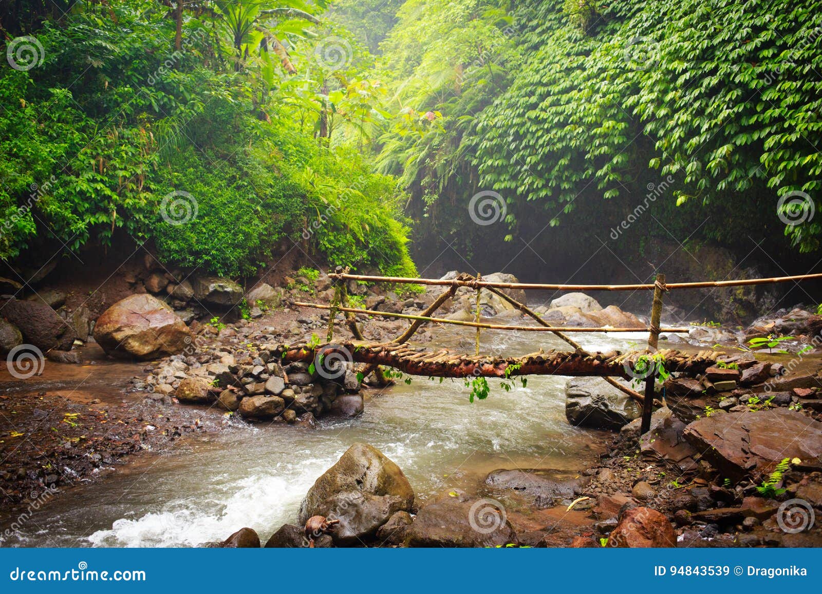 Bali stock image. Image of green, landscape, tree, asia - 94843539