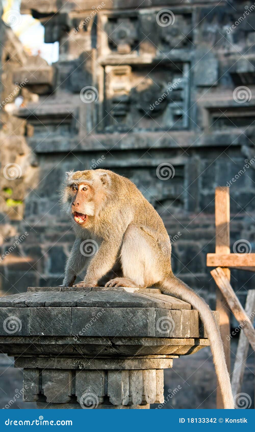 Bali,Indonesia. Monkeys in Temple Stock Photo - Image of animal ...