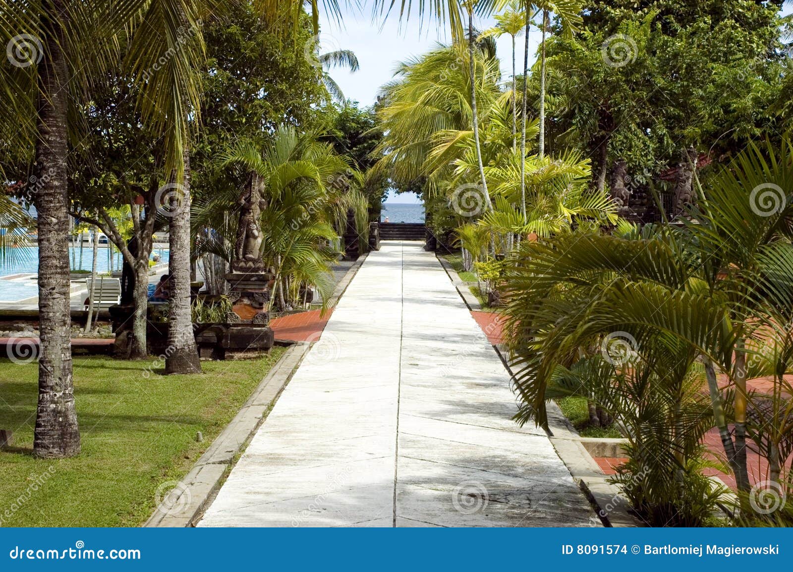 Bali Island, path to beach stock photo. Image of path - 8091574