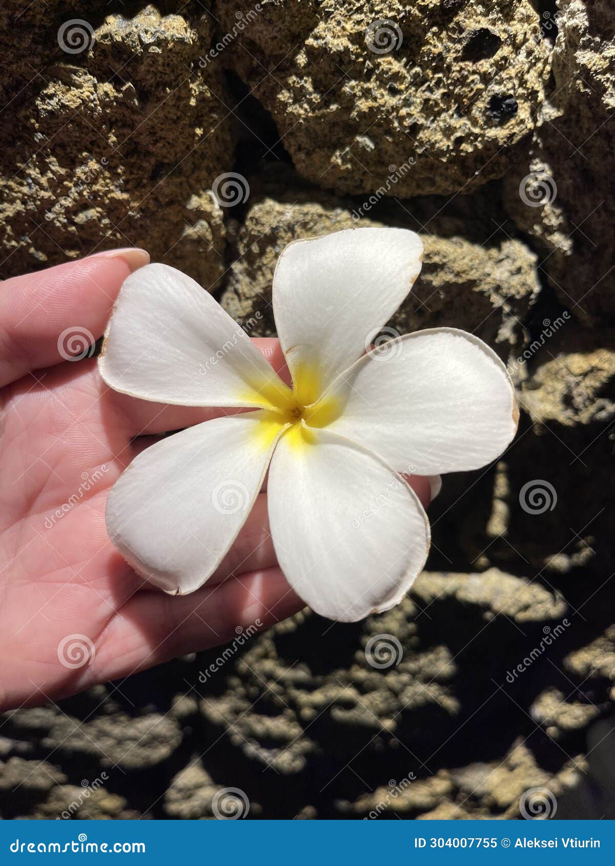 Bali Island, Waterfalls, Rice Fields Stock Image - Image of astronomy ...