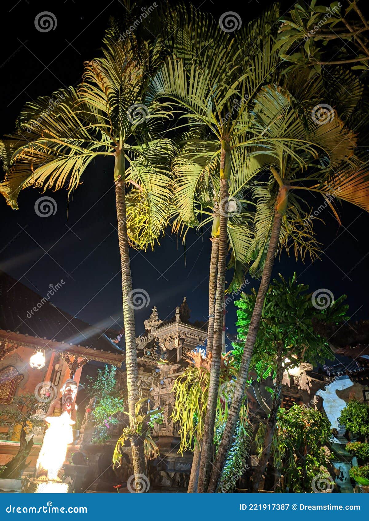Bali at Night stock image. Image of night, bali, light - 221917387