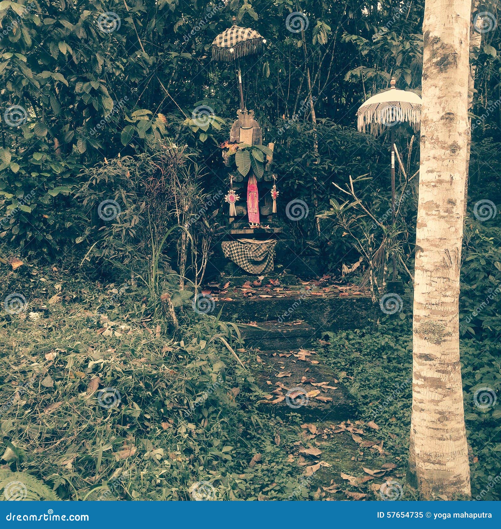 Bali stock image. Image of rambut, sedana, beauty, pura - 57654735