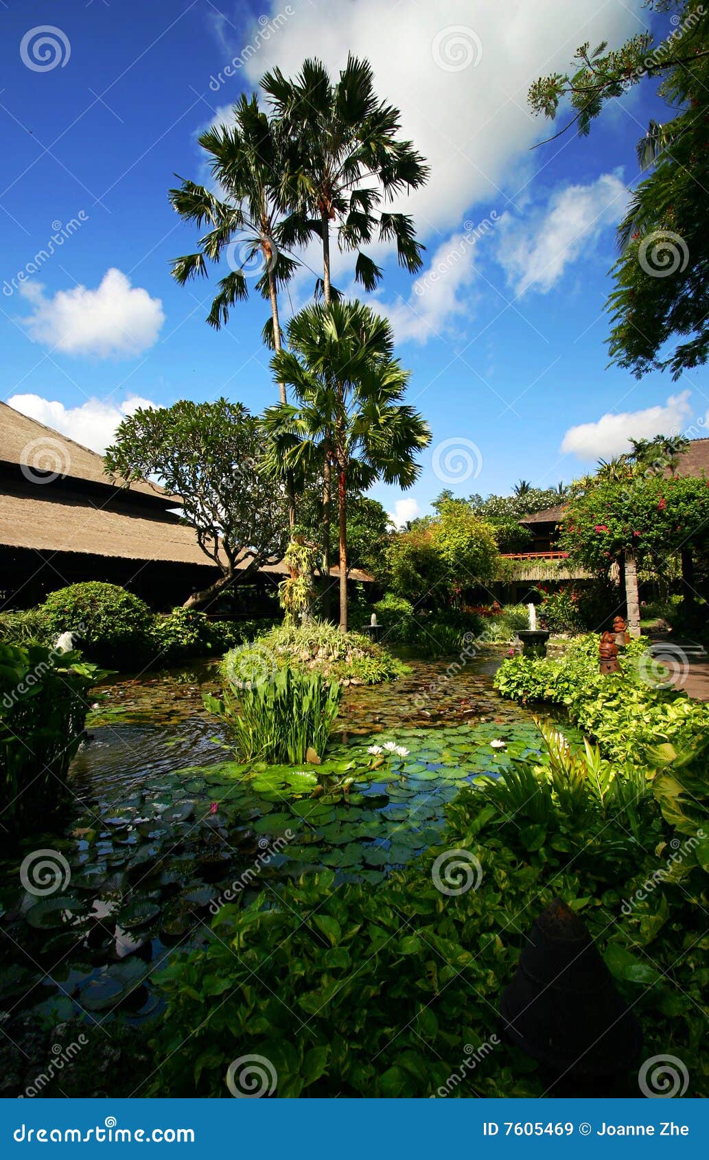 Bali resort landscaping stock image. Image of creepers - 7605469