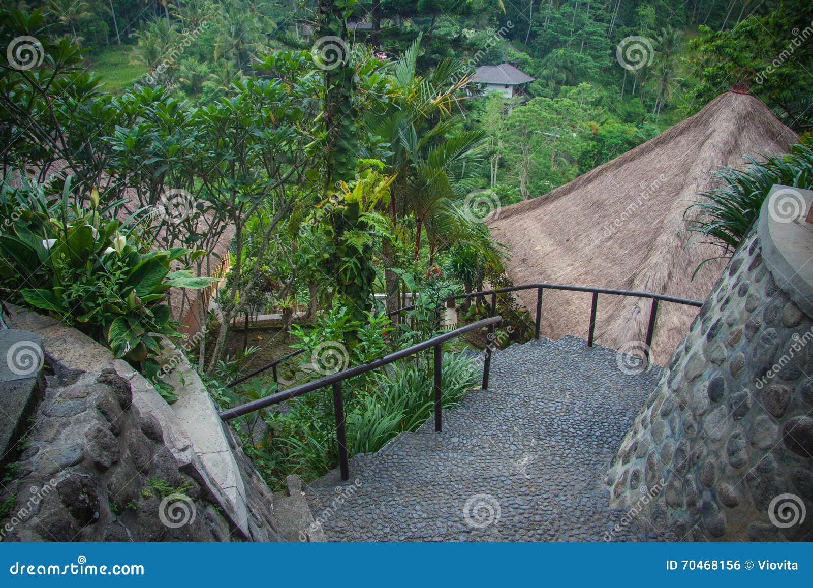 Bali Resort among Rice Fields Stock Photo - Image of estate, jungle ...