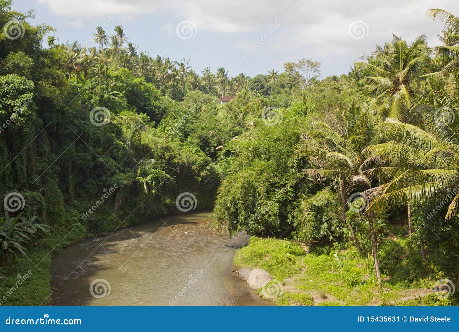 Bali River stock image. Image of island, rainforest, lush - 15435631