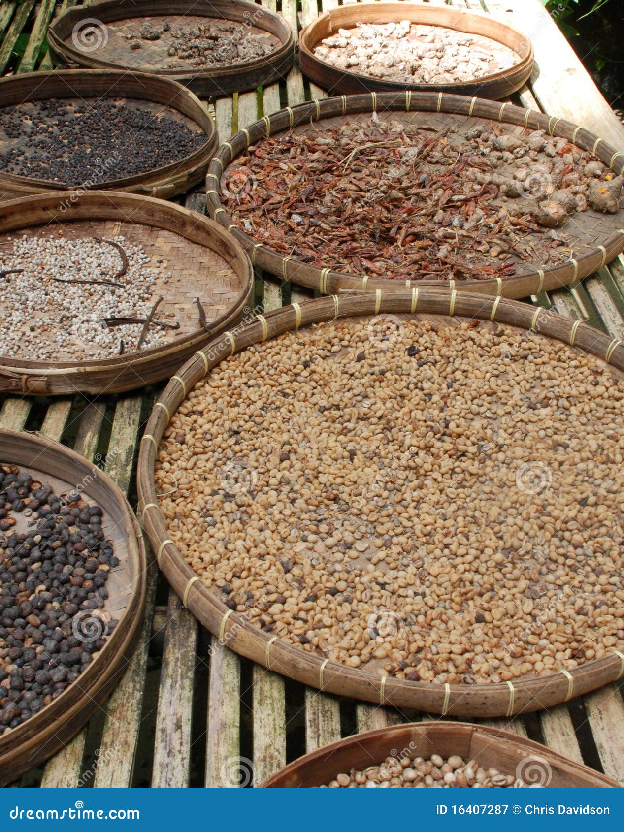 Bali Spices stock image. Image of food, spices, salt - 16407287