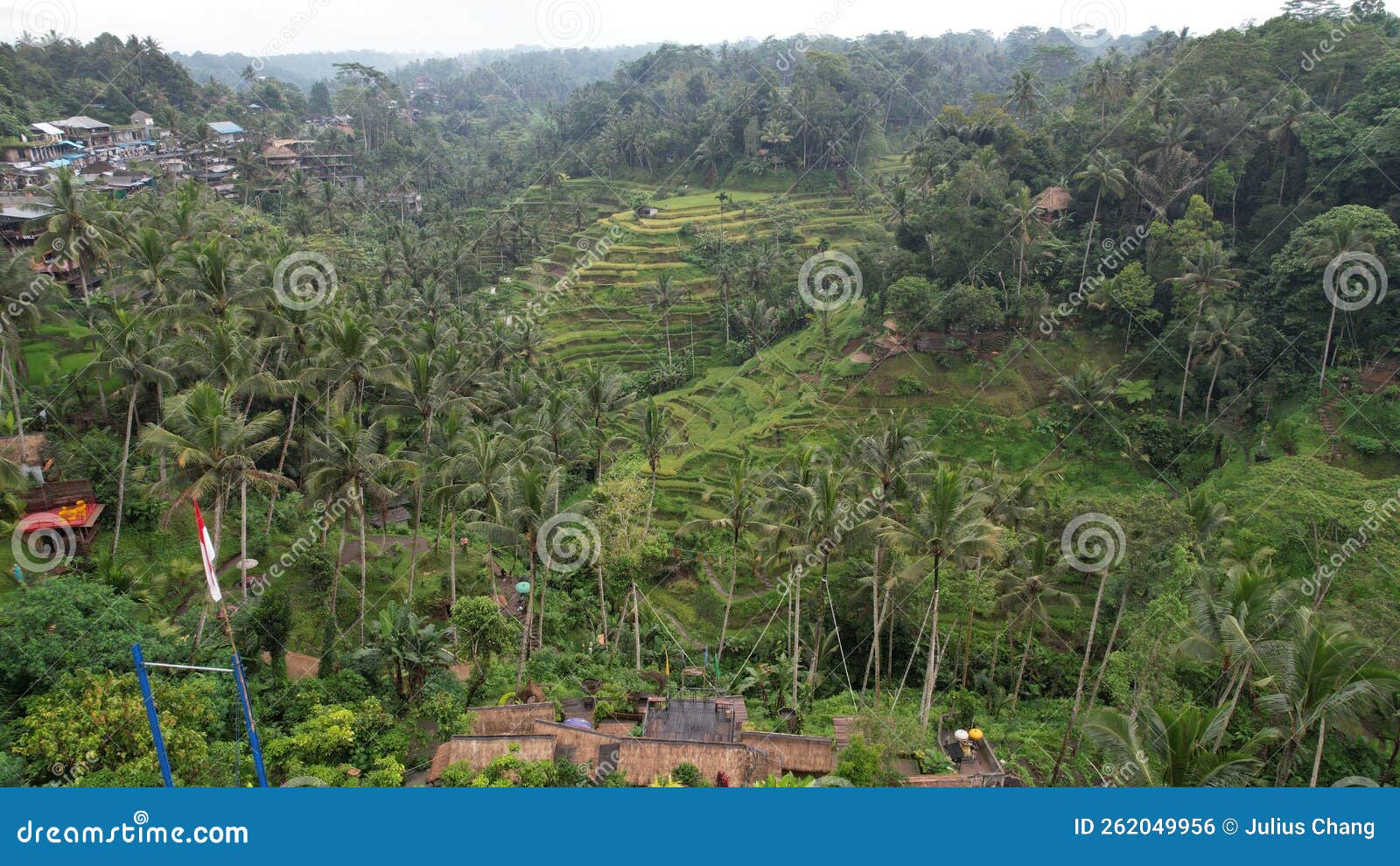 The Bali Terrace Rice Fields Stock Photo - Image of jatiluwih, asia ...