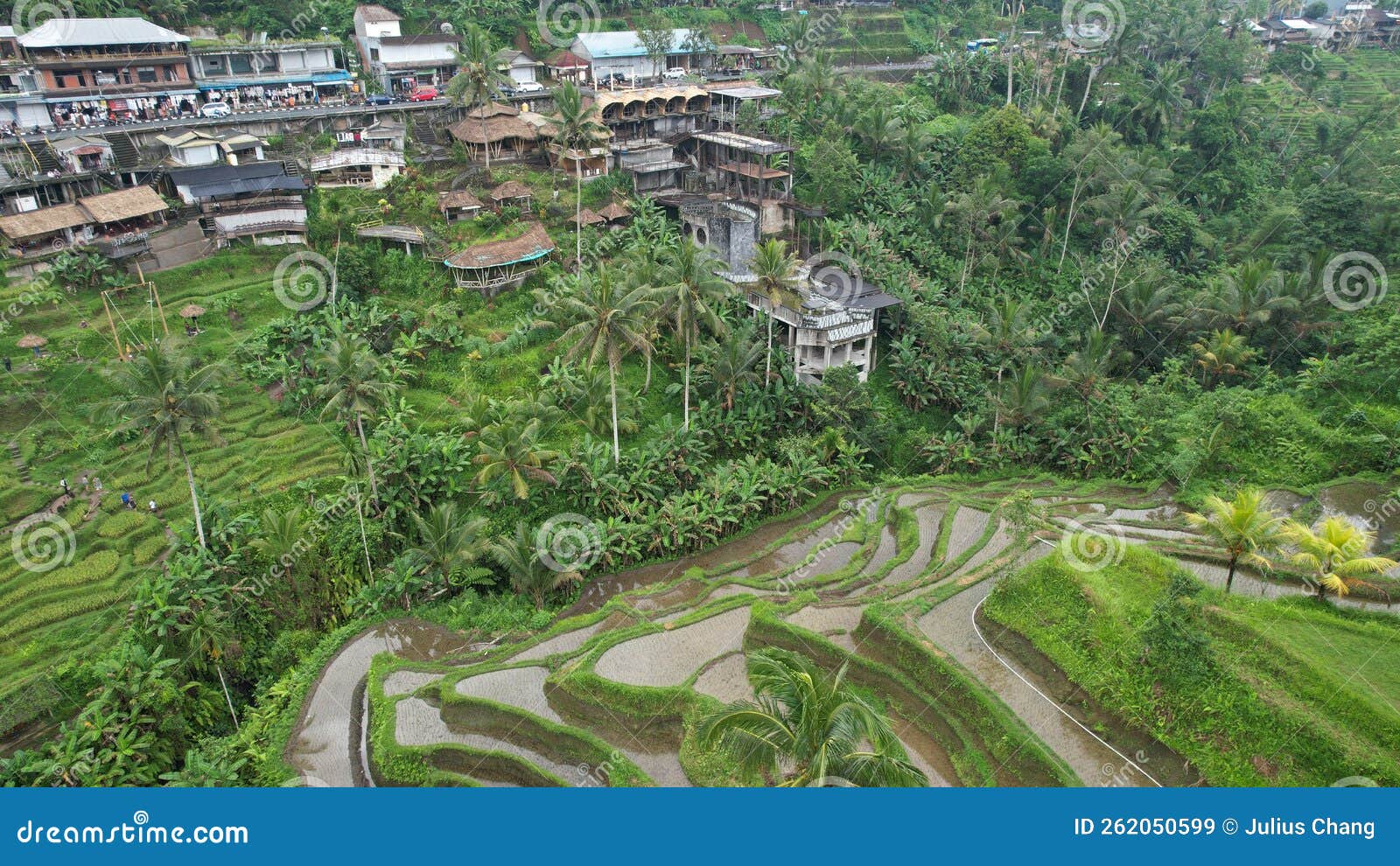 The Bali Terrace Rice Fields Editorial Stock Image - Image of grass ...