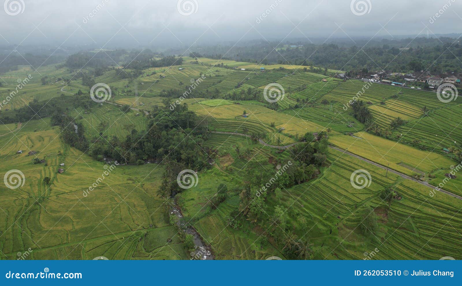 The Bali Terrace Rice Fields Stock Photo - Image of landscape ...