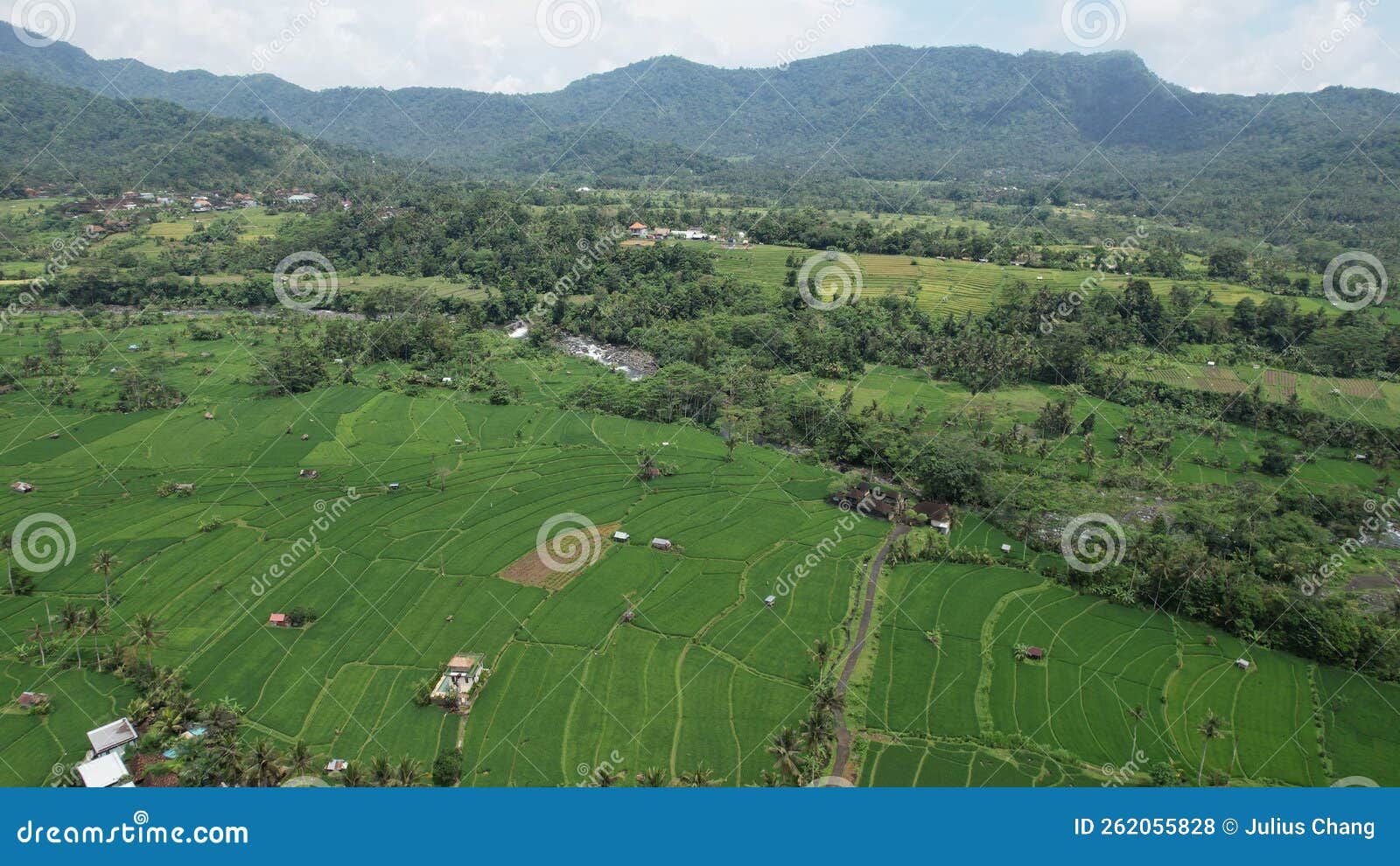 The Bali Terrace Rice Fields Stock Photo - Image of jatiluwih, aerial ...
