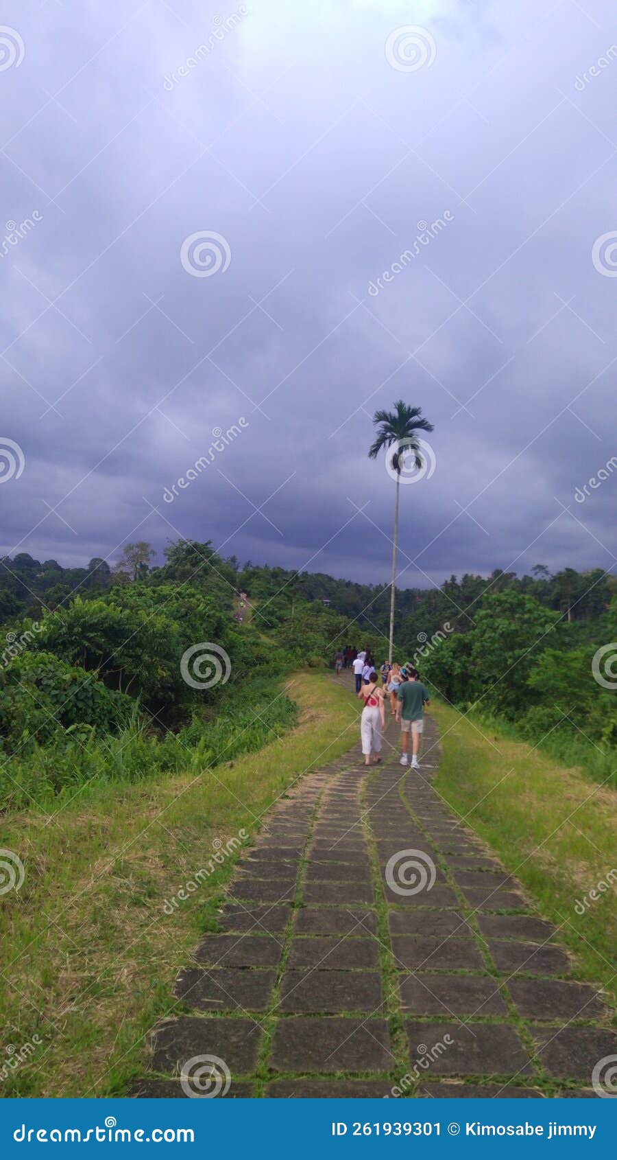 Bali Walk Hill Afternoon Track Stock Image - Image of hill, walk: 261939301