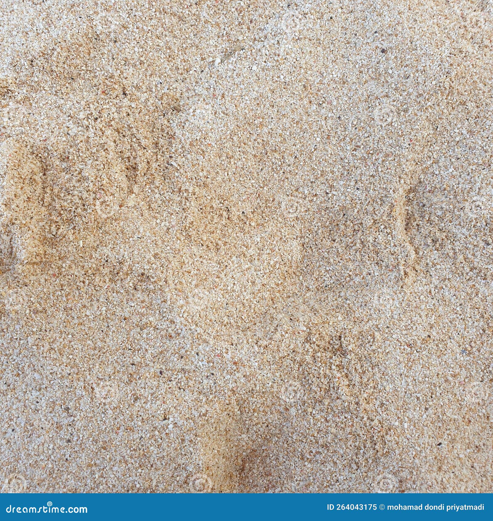 Bali White Beach Sand Grain Closeup Stock Image - Image of wood ...