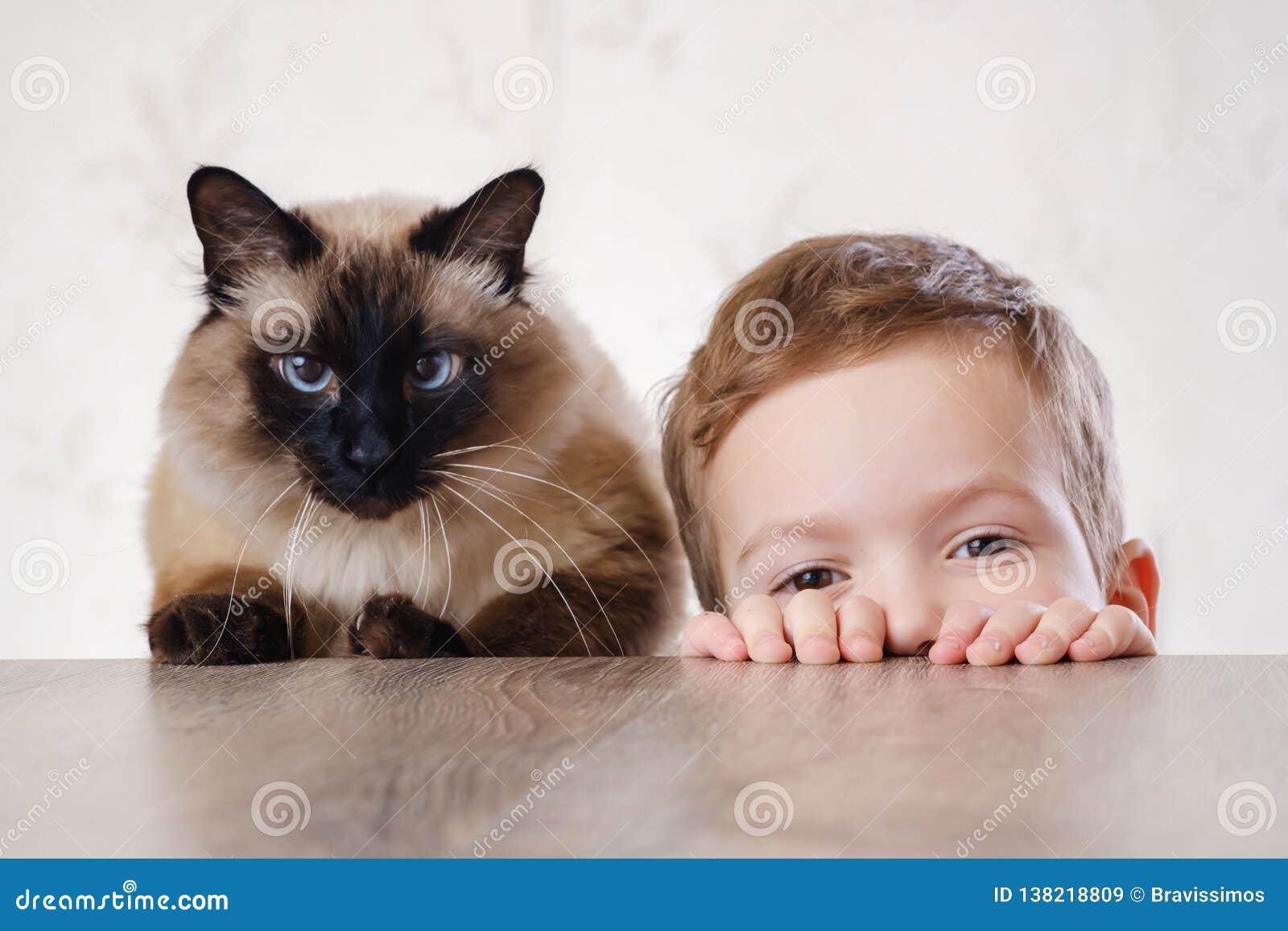 Balinese Katten Het Kind Speelt Samen Leuk Dier Stock Afbeelding ...