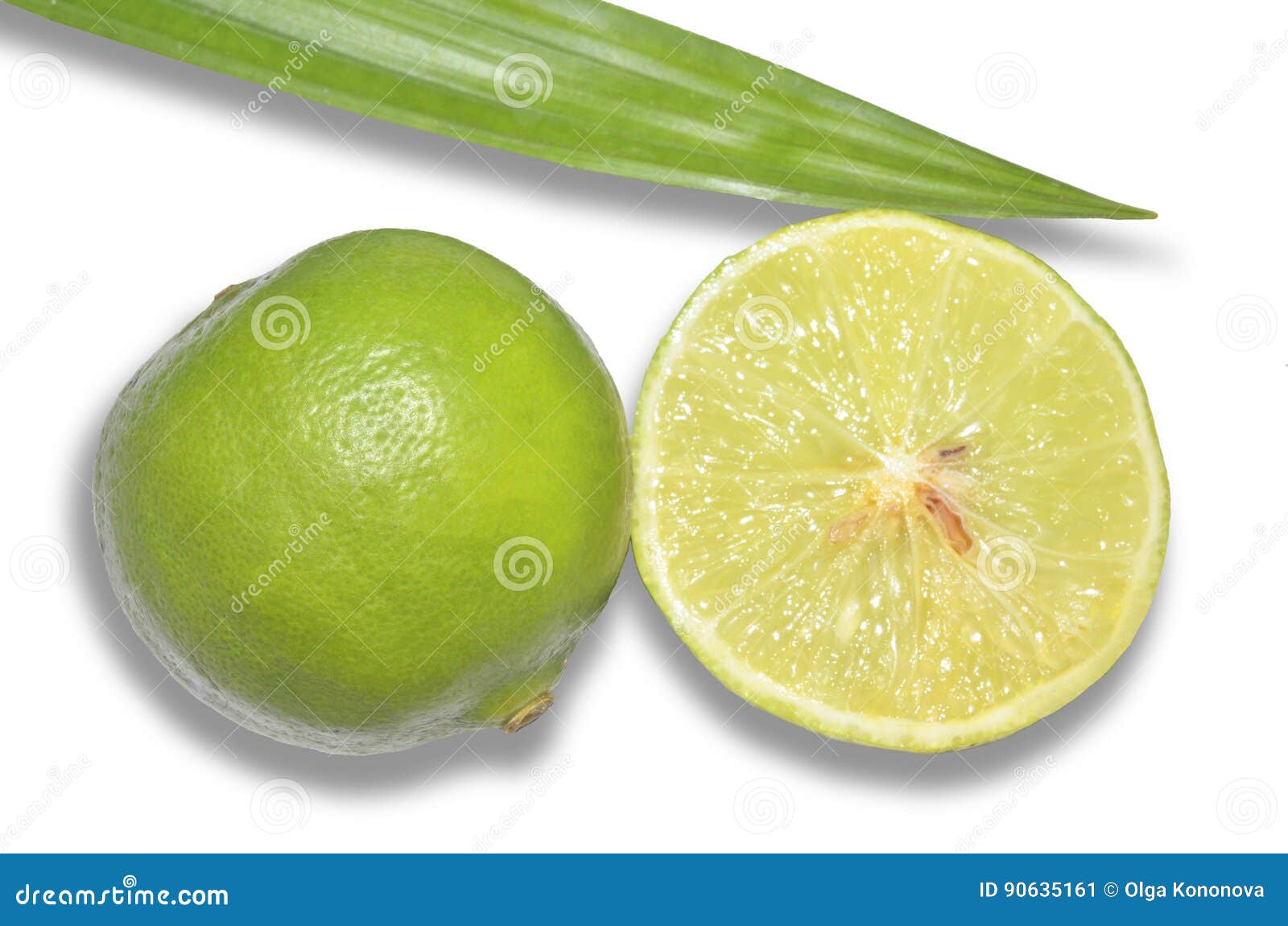 Balinese lime stock image. Image of circle, indonesia - 90635161