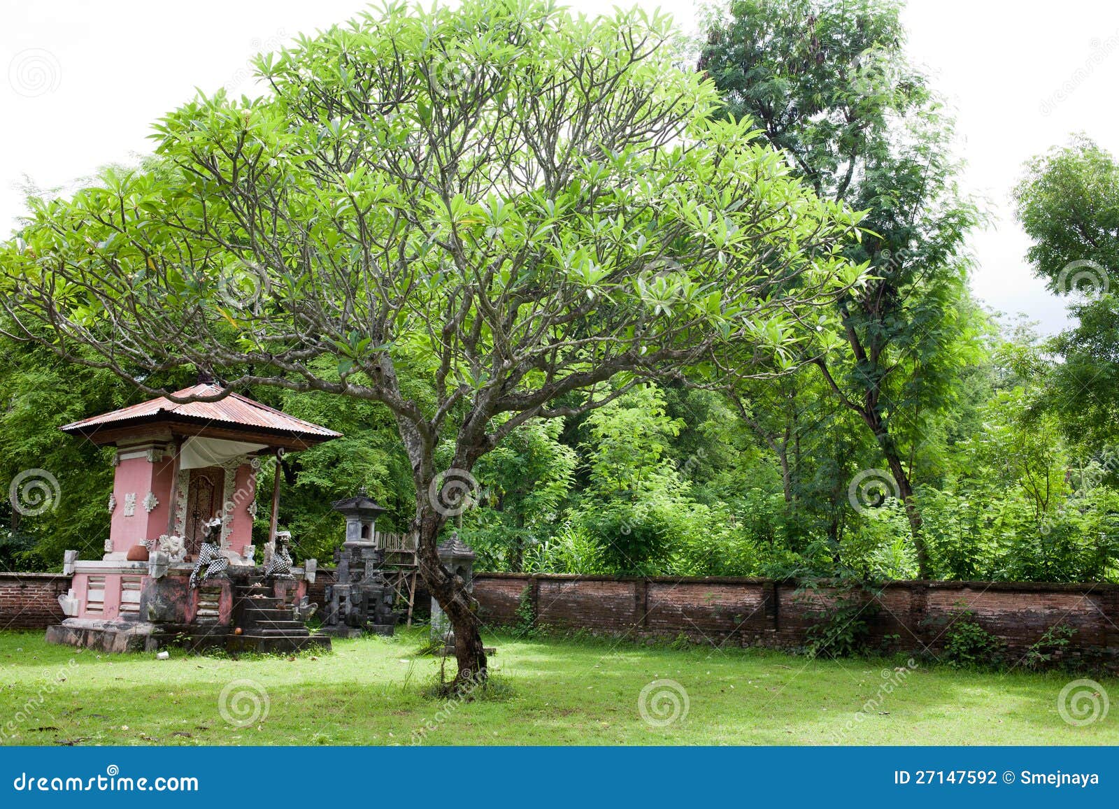 Balinese plants stock photo. Image of healthy, color - 27147592