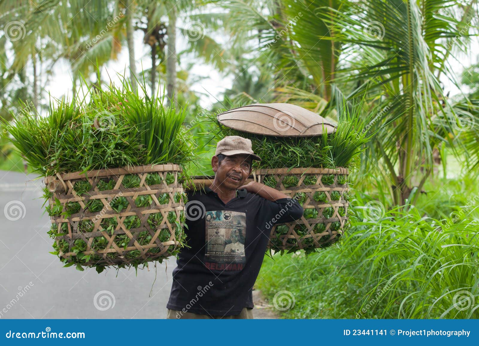 Balinese rice fields editorial photo. Image of basket - 23441141