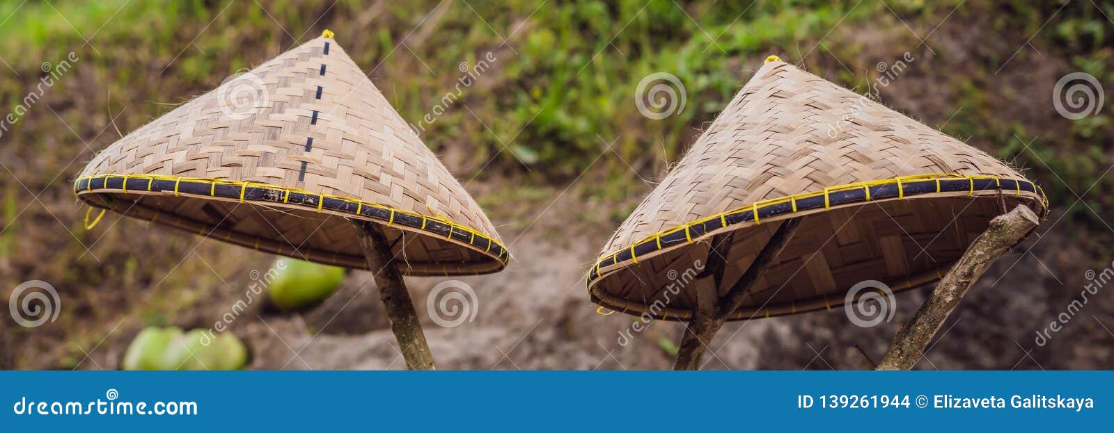 Balinese Traditional Straw Hat in Rice Field BANNER, Long Format Stock ...
